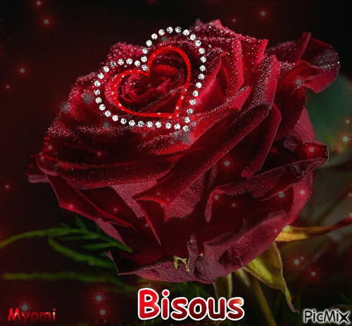 BISOUS ROSE